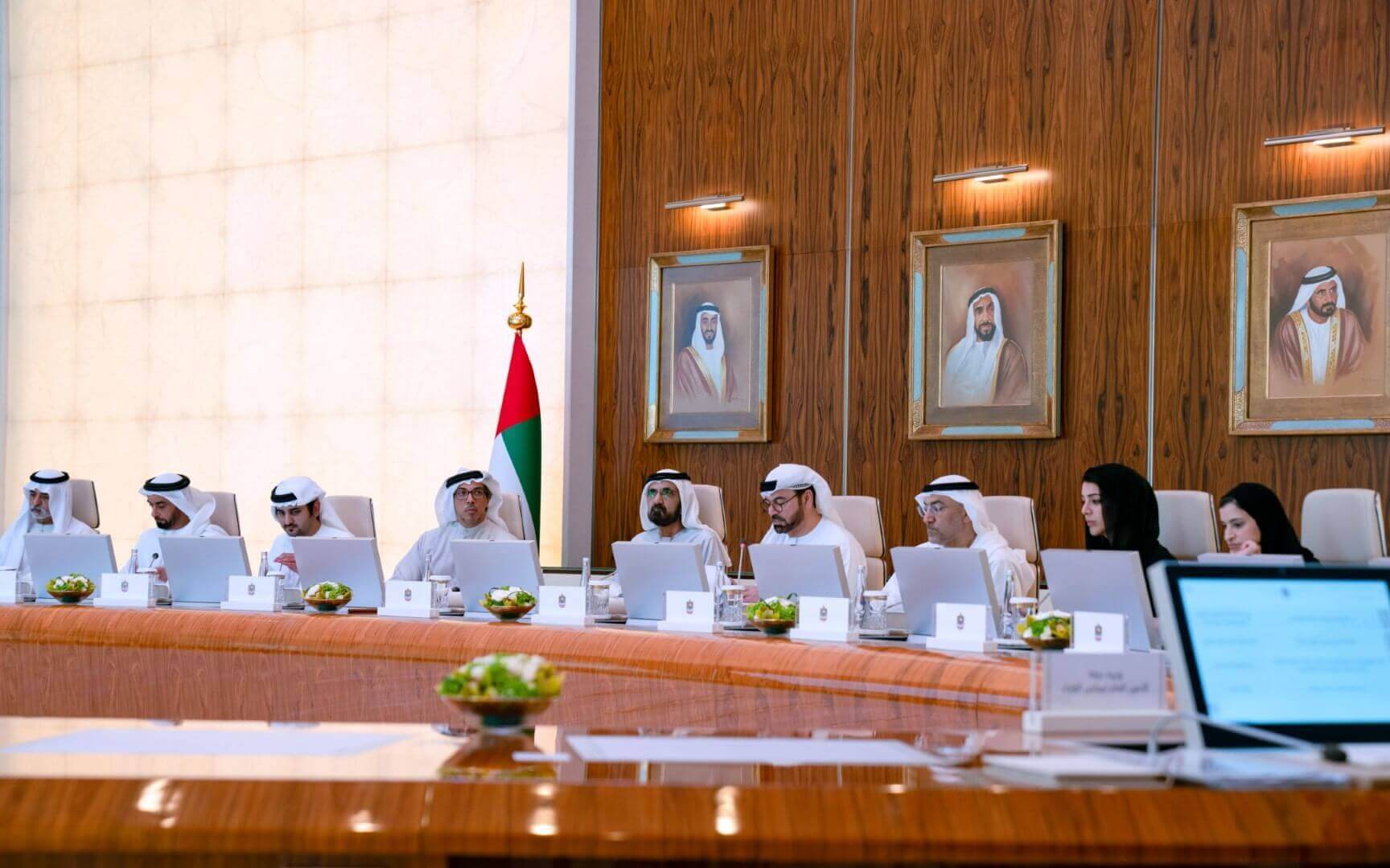 UAE Cabinet examines achievements of Emirates Genome Council — Emirates ...